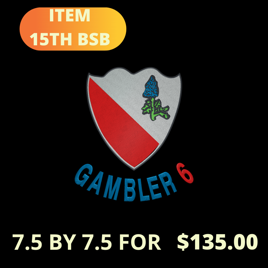 15TH BSB – military party shirts