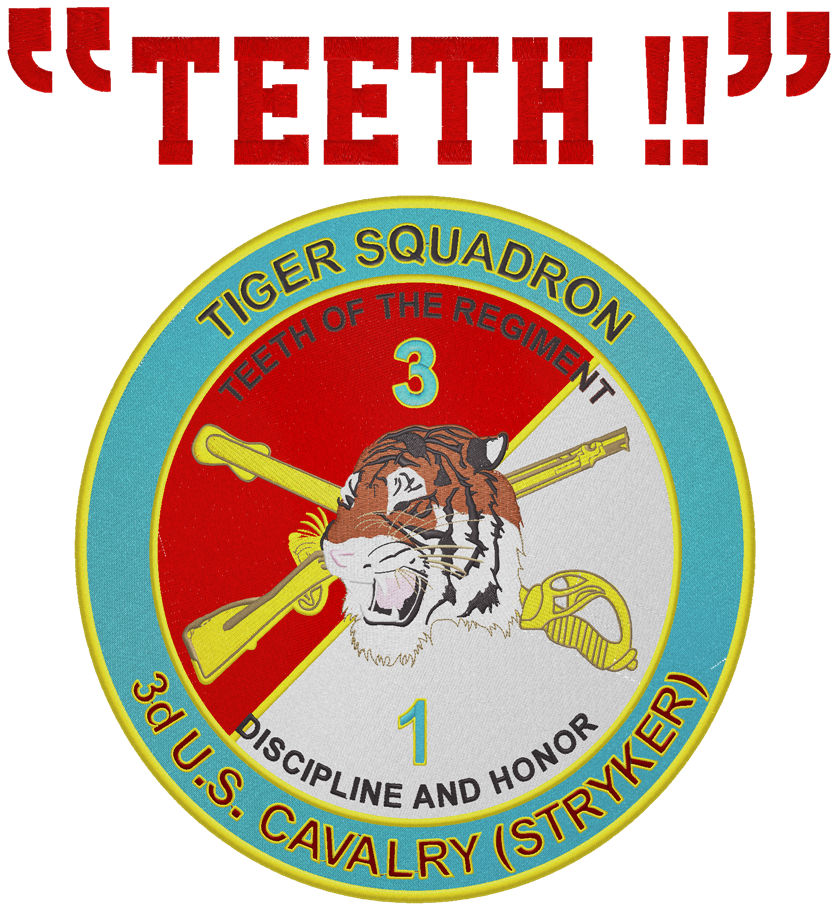 3 D CAV TIGER SQUAD – military party shirts